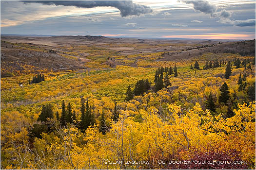 Montana Fall Foliage Stock Image, - Sean Bagshaw Outdoor Exposure ...