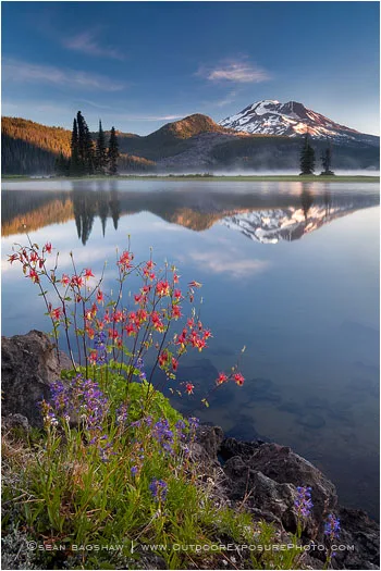Sparks Lake Columbine Stock Image, Bend, Oregon - Sean Bagshaw Outdoor ...