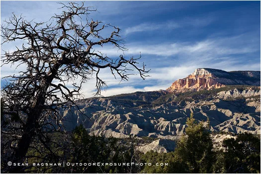 Powell Point 2 Stock Image, Utah - Sean Bagshaw Outdoor Exposure ...