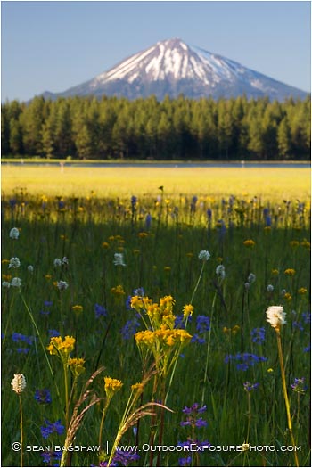 Summer At Howard Prairie 3 Stock Image, Ashland, Oregon - Sean Bagshaw ...