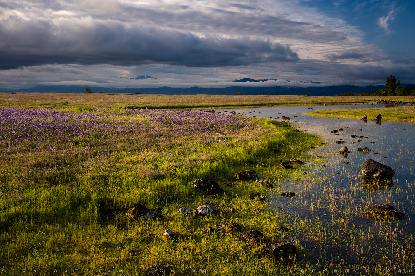 vernal pools 2 stock image, table rocks, rogue valley, oregon - Sean ...
