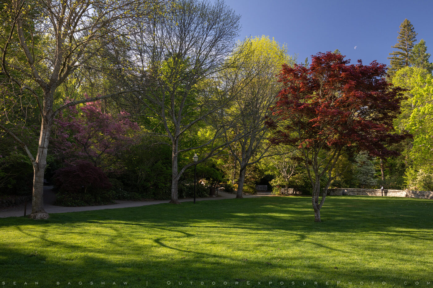 Lithia Park in Spring Stock Image, Ashland, Oregon - Sean Bagshaw ...