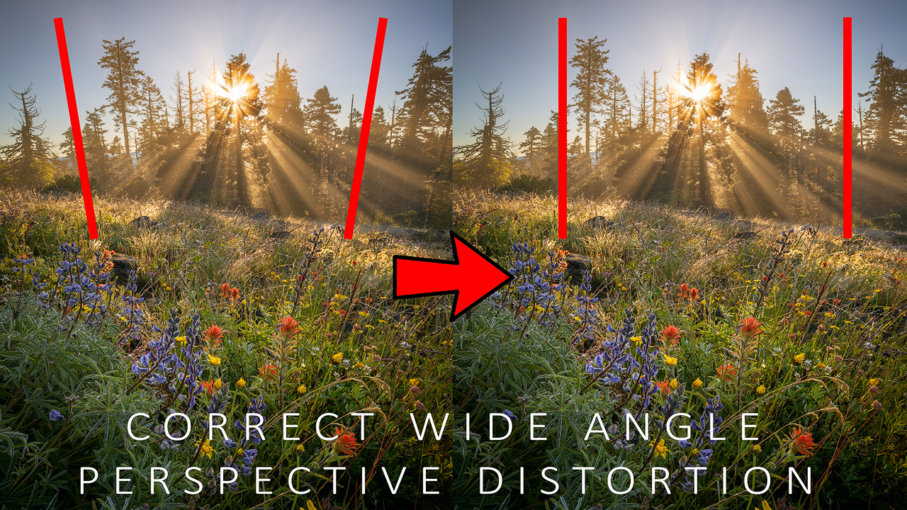 Correct Wide-Angle Perspective Distortion Using Photoshop - Sean ...
